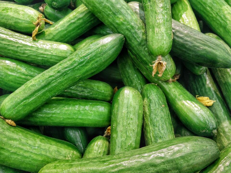 Il cetriolo: qualche consiglio per prendersene cura - Lifely